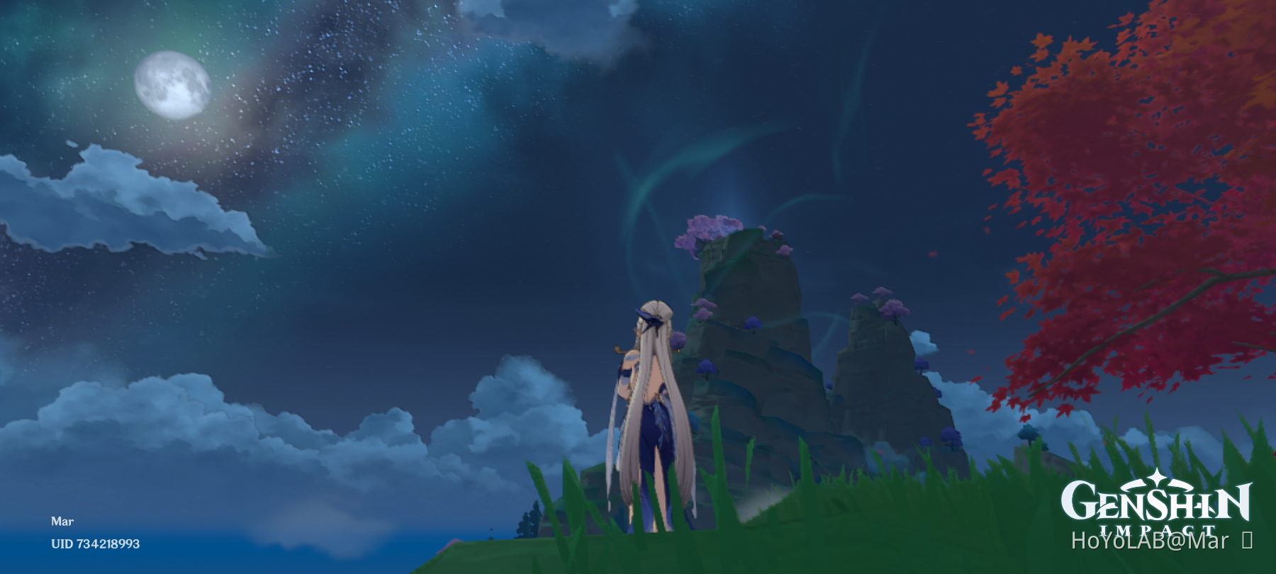 Just a night pic Genshin Impact | HoYoLAB