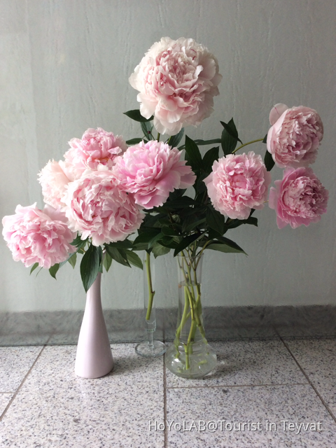 Fav Pastime - Flower Power! Genshin Impact | HoYoLAB