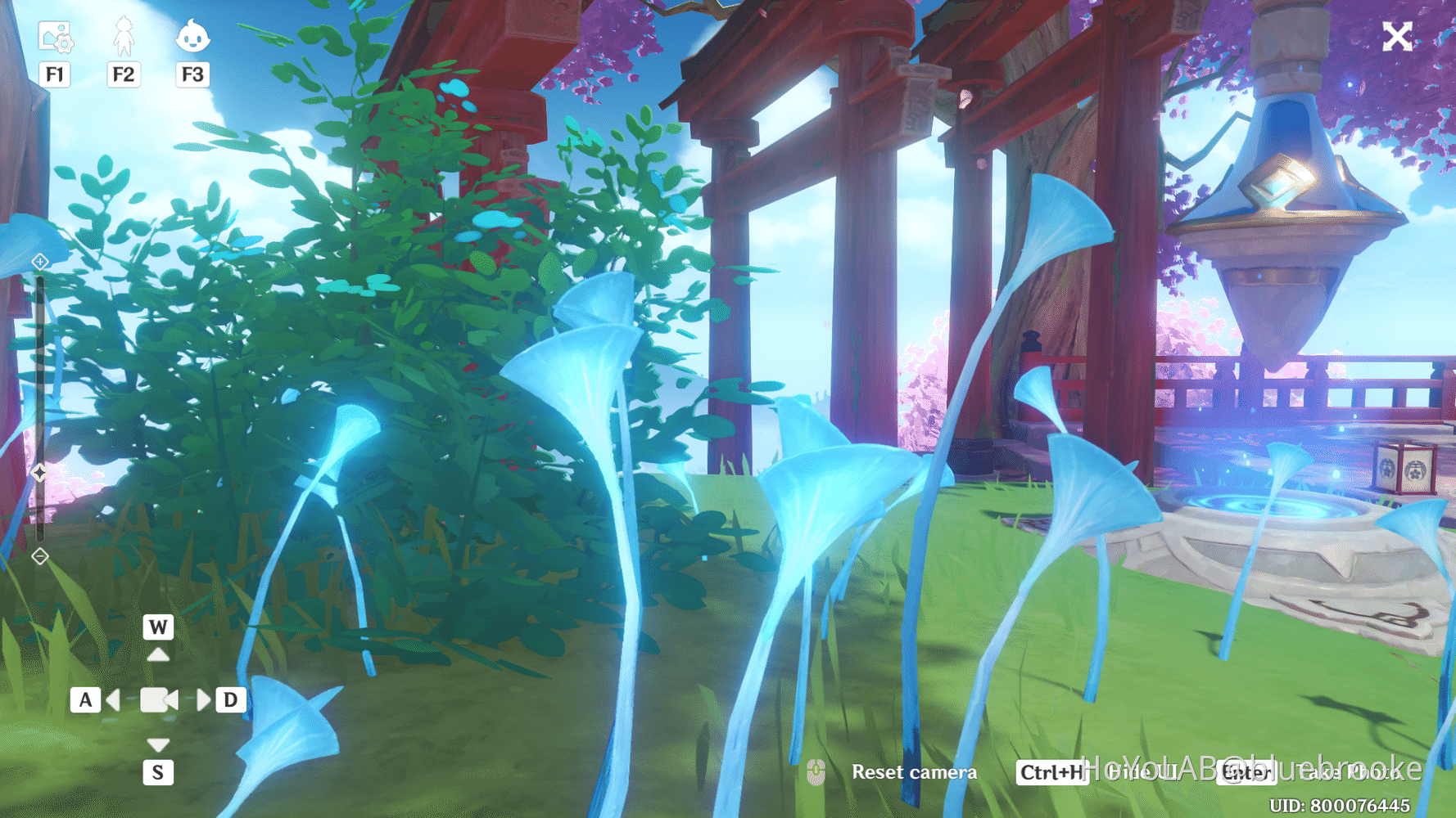 Narukami/Inazuma flowers Genshin Impact | HoYoLAB