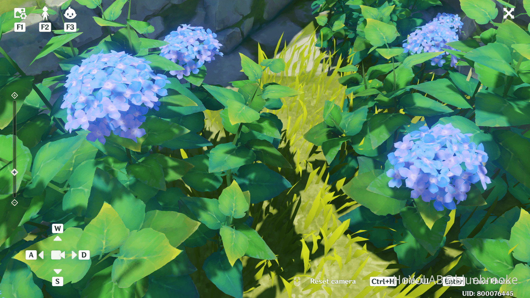 Narukami/Inazuma flowers Genshin Impact | HoYoLAB