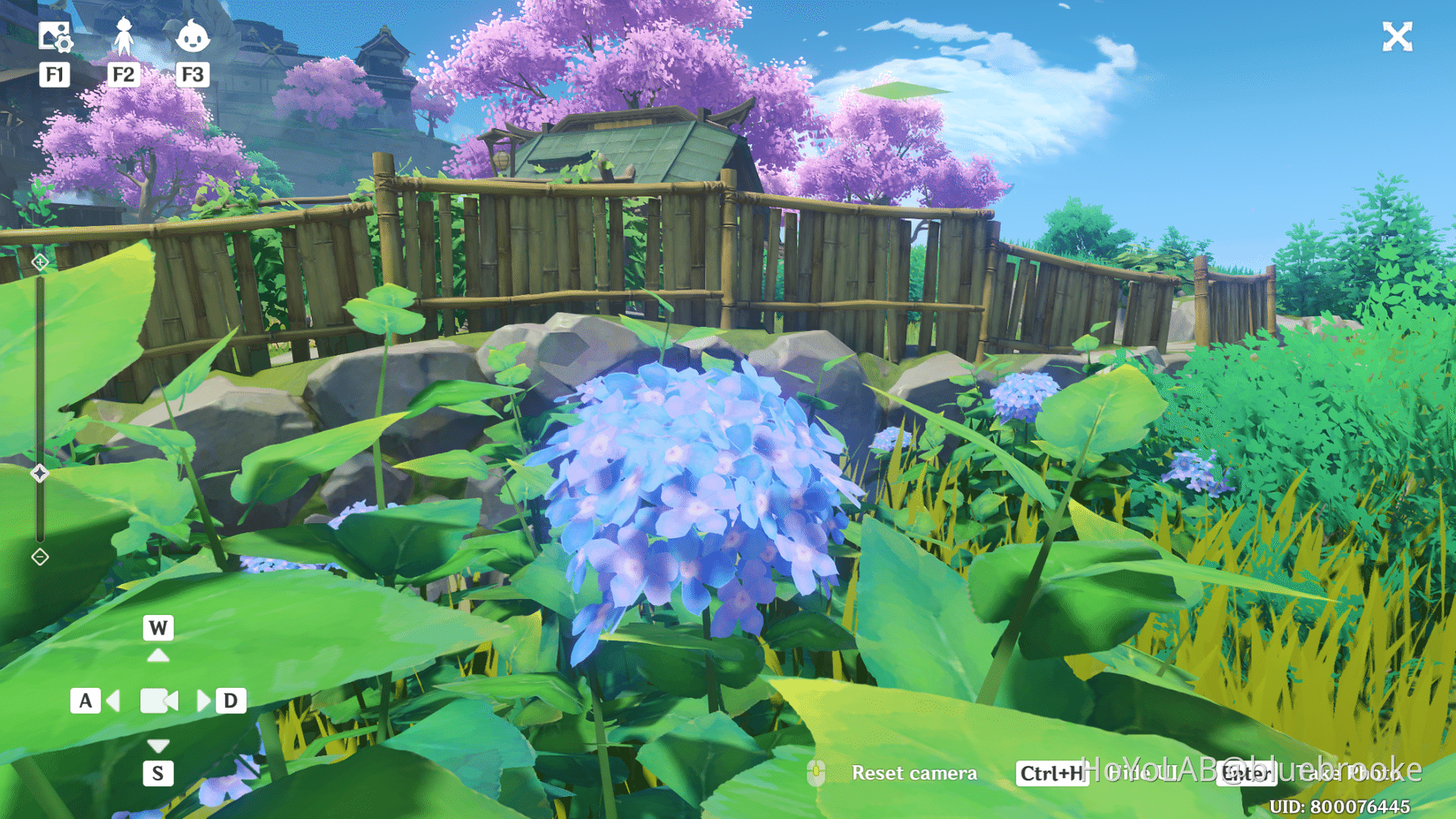 Narukami/Inazuma flowers Genshin Impact | HoYoLAB