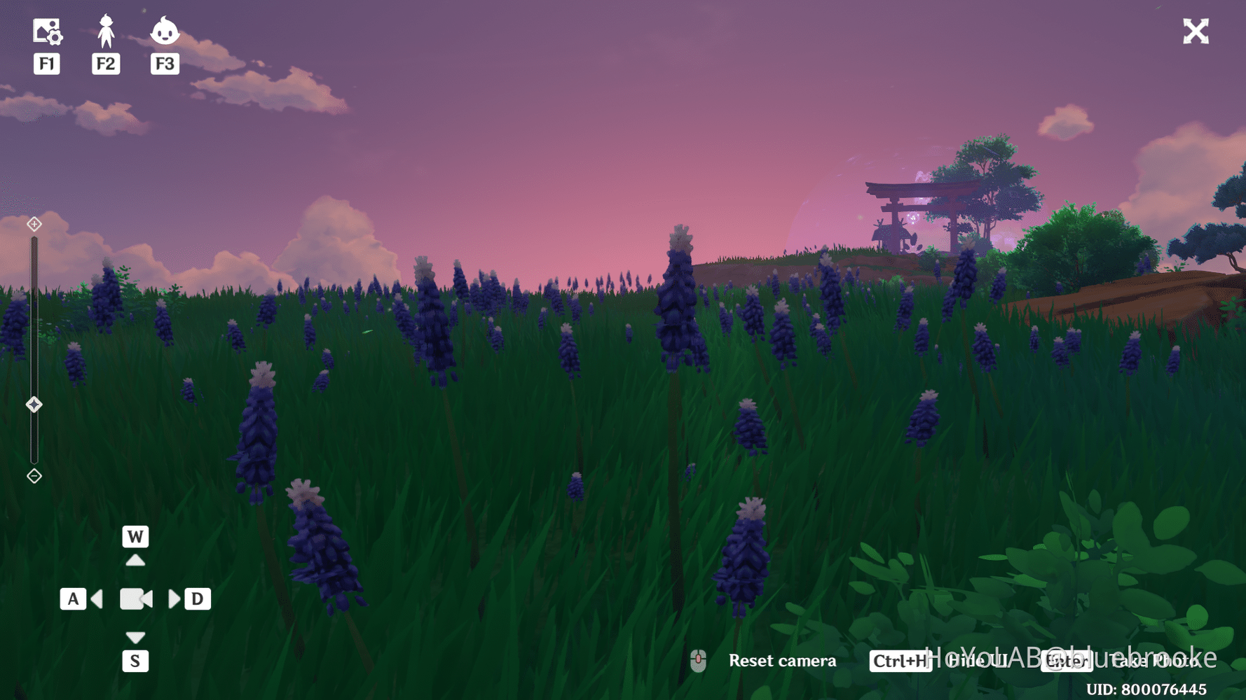 Narukami/Inazuma flowers Genshin Impact | HoYoLAB