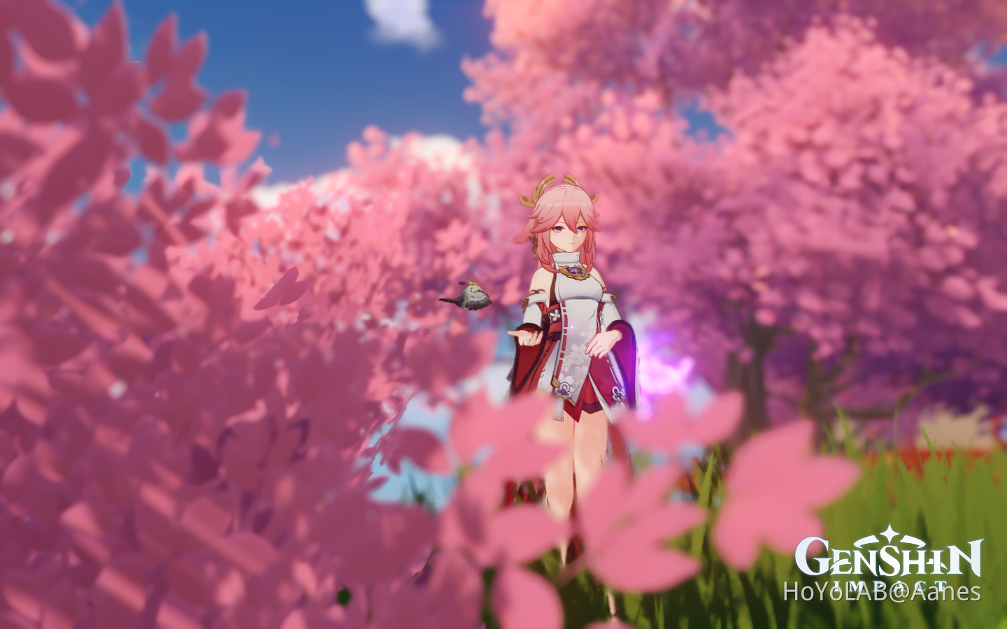 Photoshoot with Ei and Miko :) | Genshin Impact | HoYoLAB