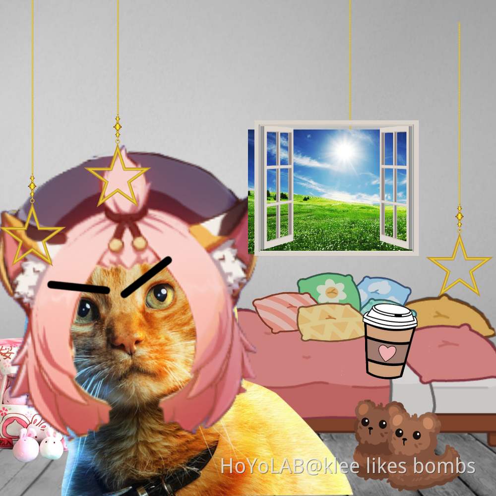 genshin rooms but their cats Honkai Impact 3rd | HoYoLAB