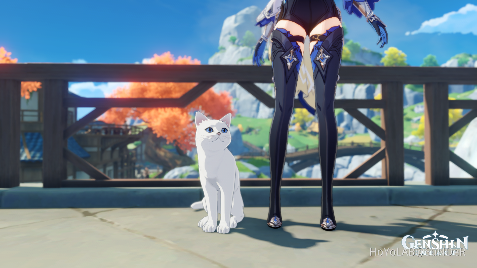 Liyue Cat Genshin Impact | HoYoLAB