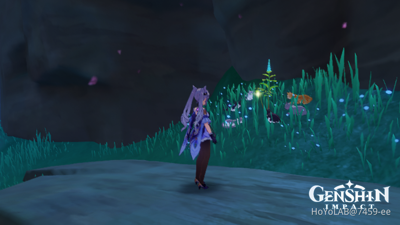 C’est un rituel d’invocation? Genshin Impact | HoYoLAB