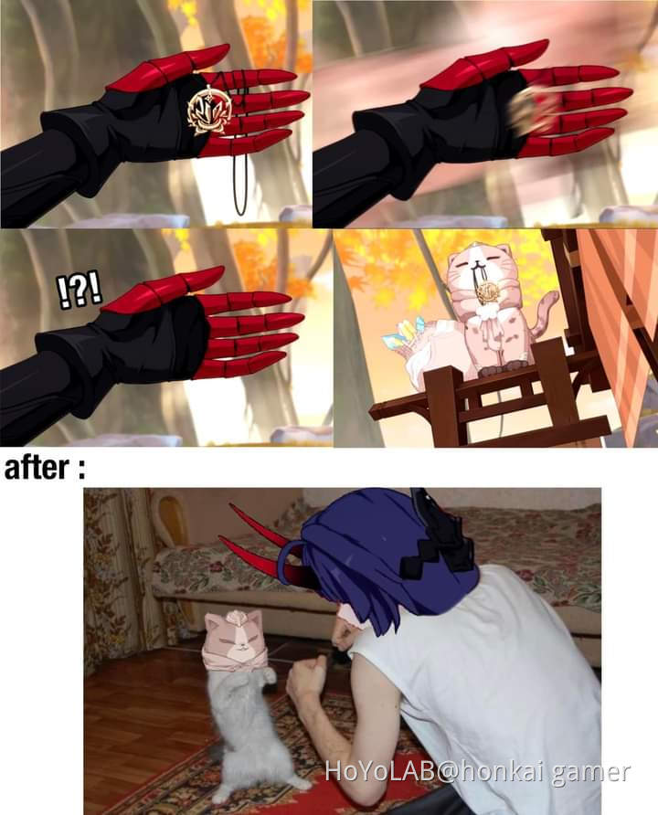 Kuso neko dorobo Honkai Impact 3rd | HoYoLAB