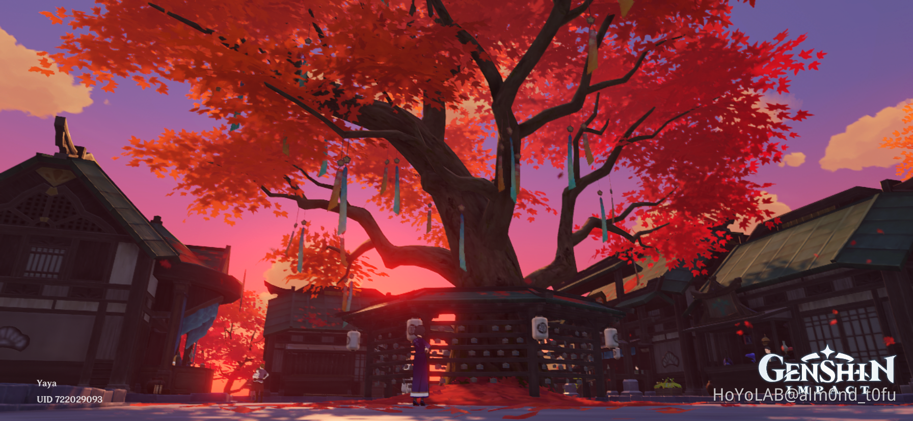 Ritou | Genshin Impact | HoYoLAB