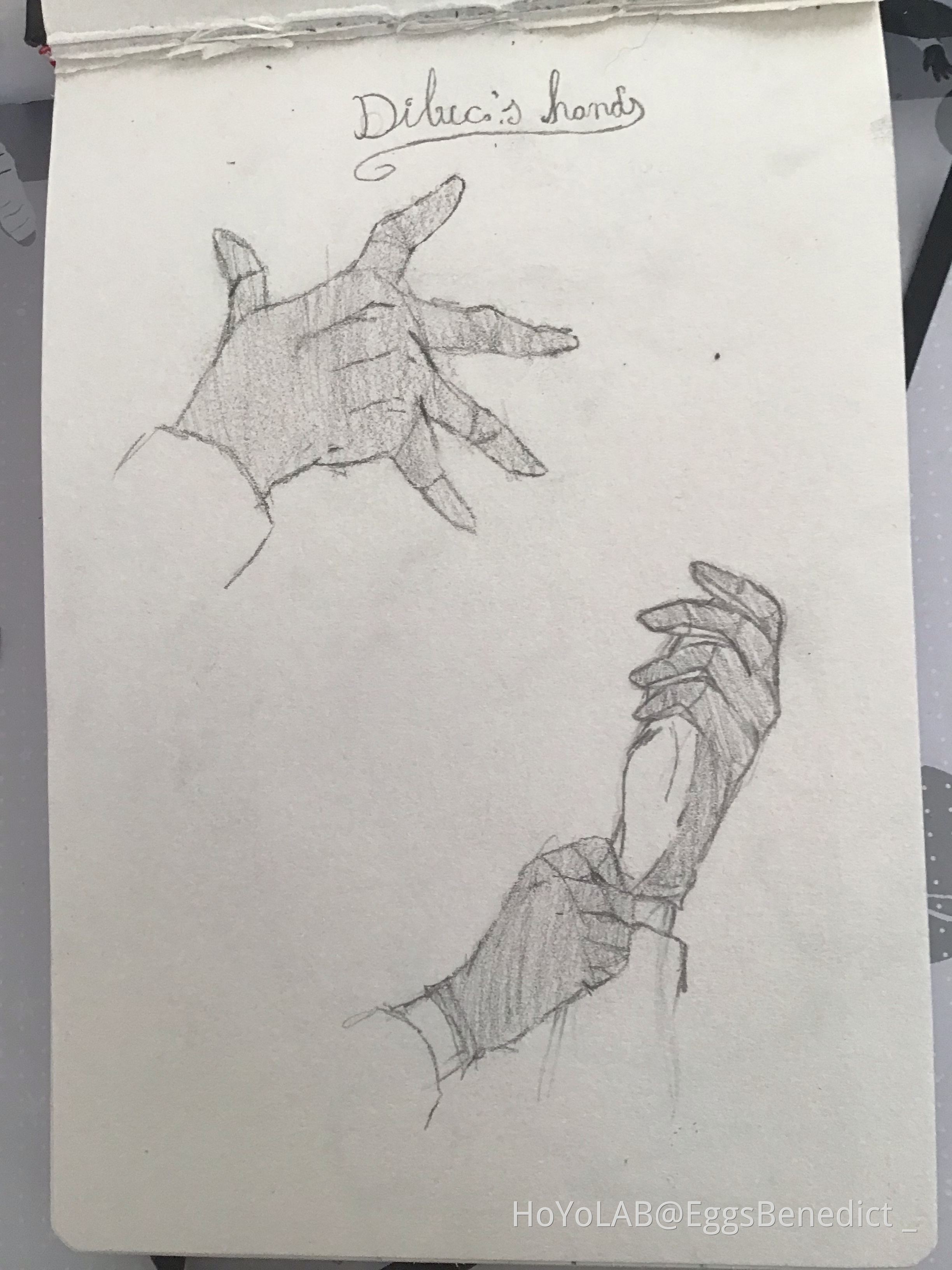 Diluc’s hands Genshin Impact | HoYoLAB