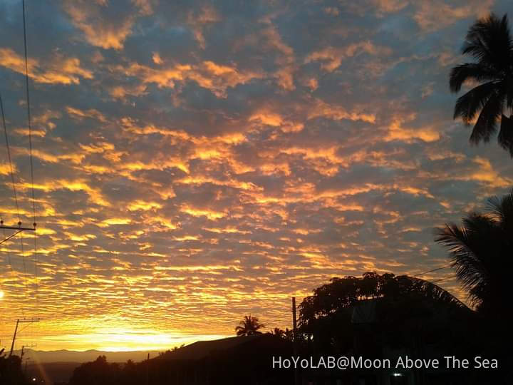 Rare natural beauty | HoYoLAB