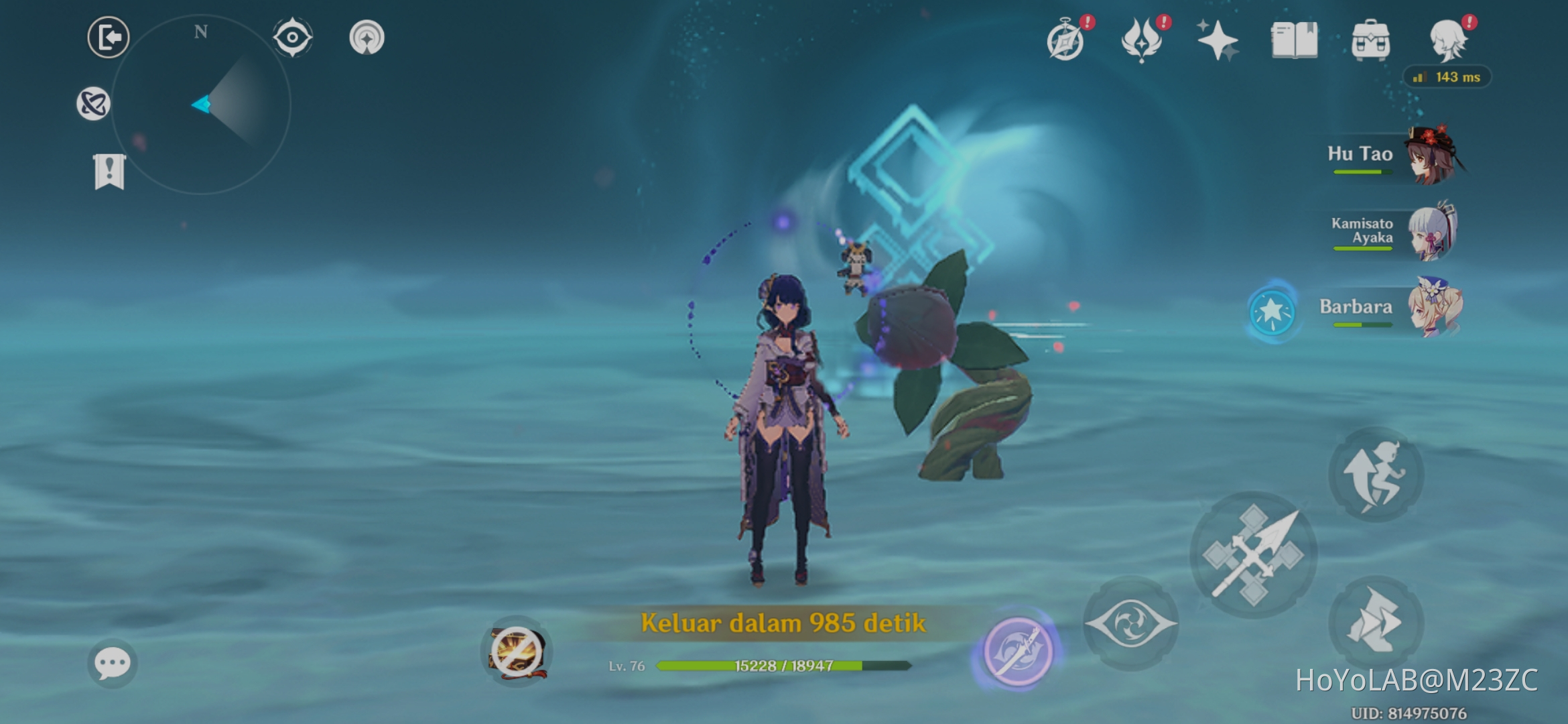 Aku kan Udh Punya Raiden Terus Lvl Gw Udh Lvl 80 kira2 cocok gk ER nya ...