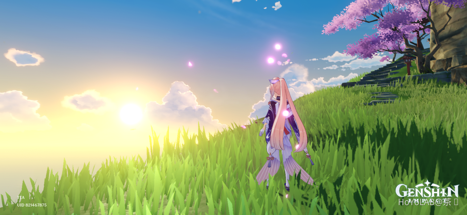 Exploring the world with Kokonut Genshin Impact | HoYoLAB