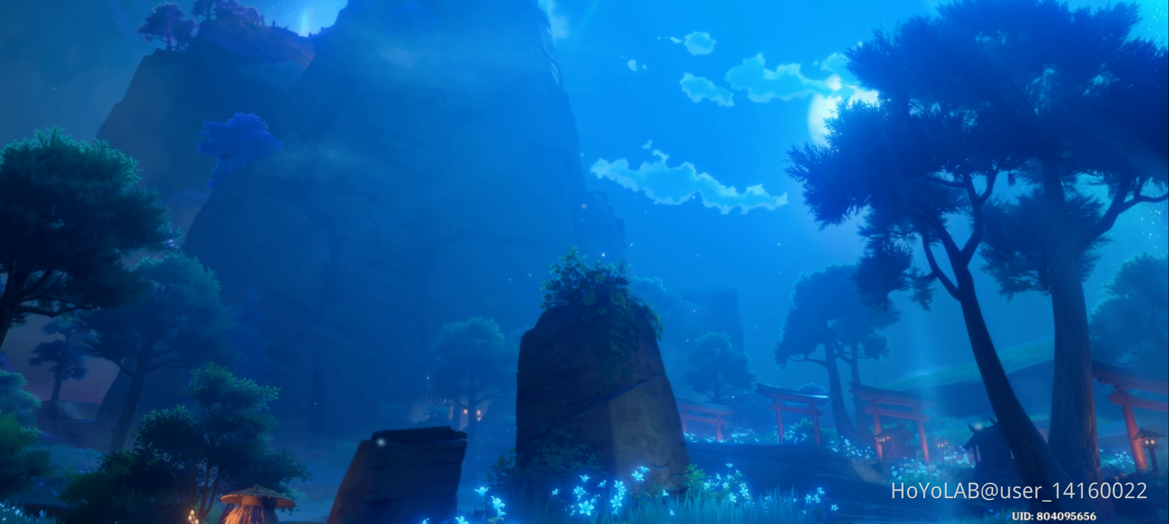 View of Inazuma Genshin Impact | HoYoLAB