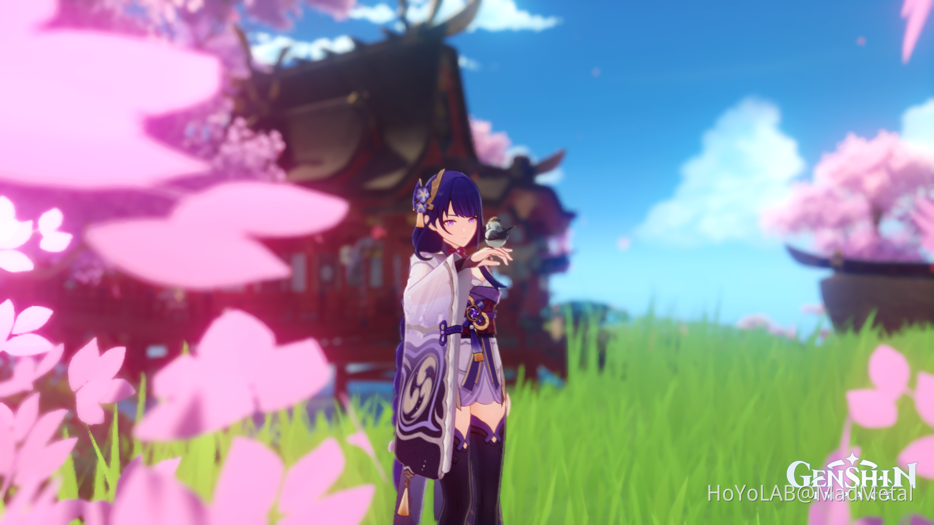 Shogun Pic Genshin Impact | HoYoLAB