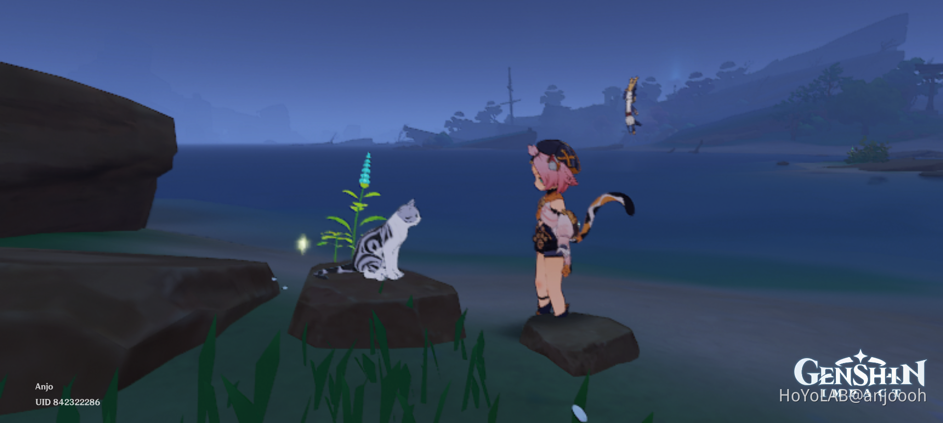 Cat Island Genshin Impact | HoYoLAB