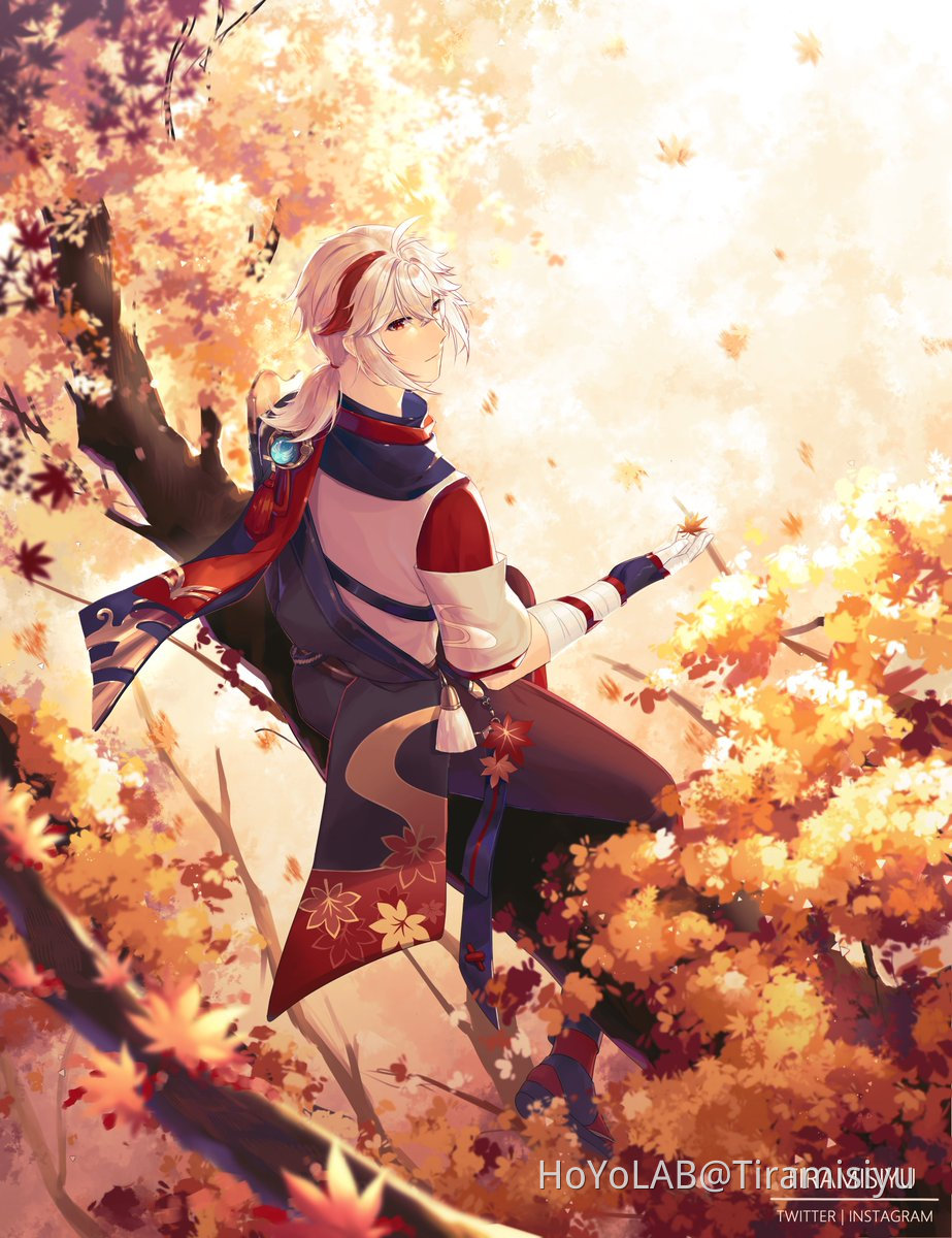 Maple Leaves Genshin Impact | HoYoLAB