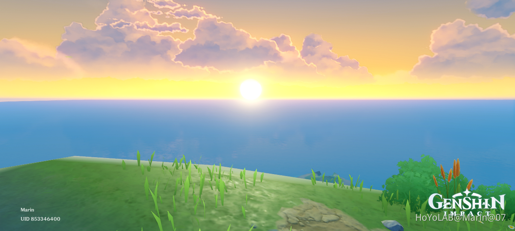 Genshin Nature Genshin Impact | HoYoLAB