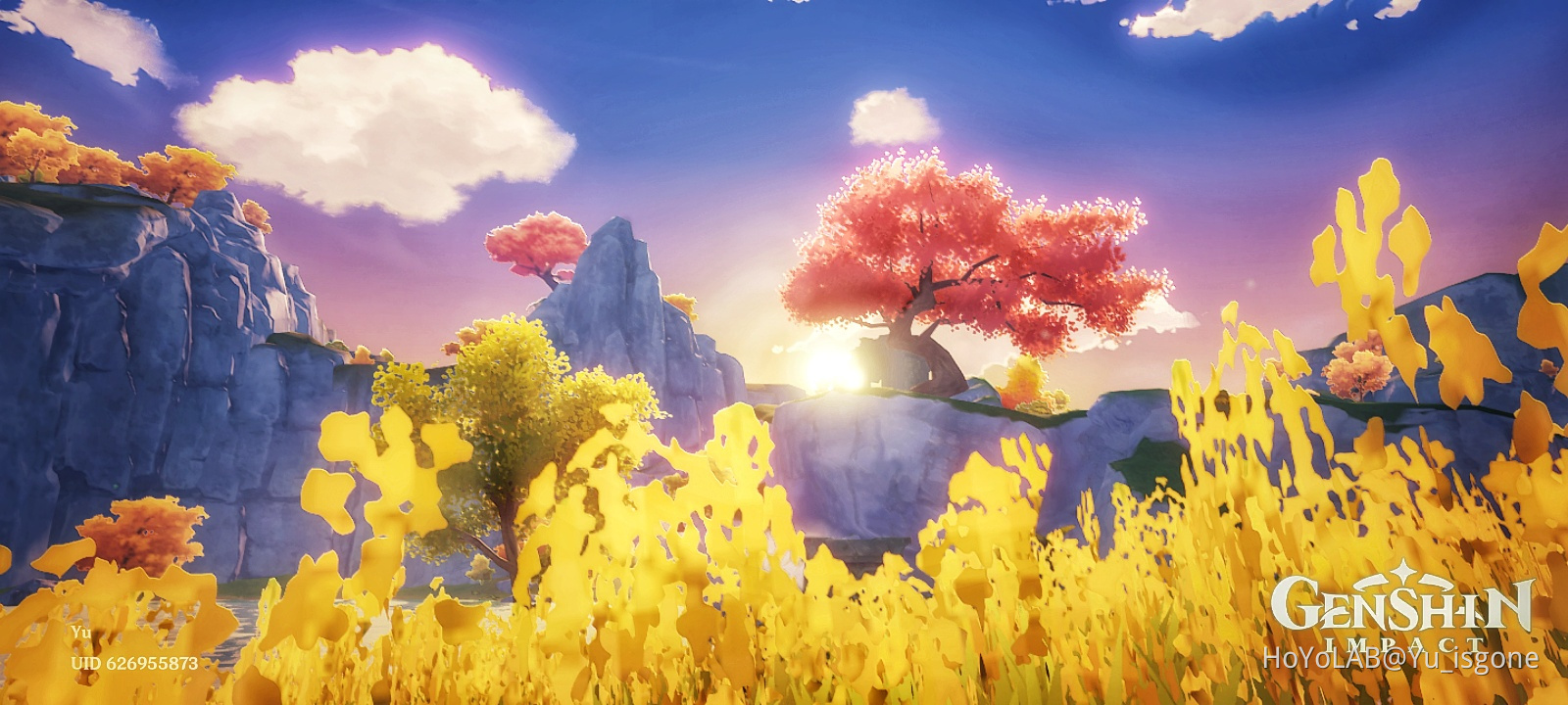 sunset Genshin Impact | HoYoLAB
