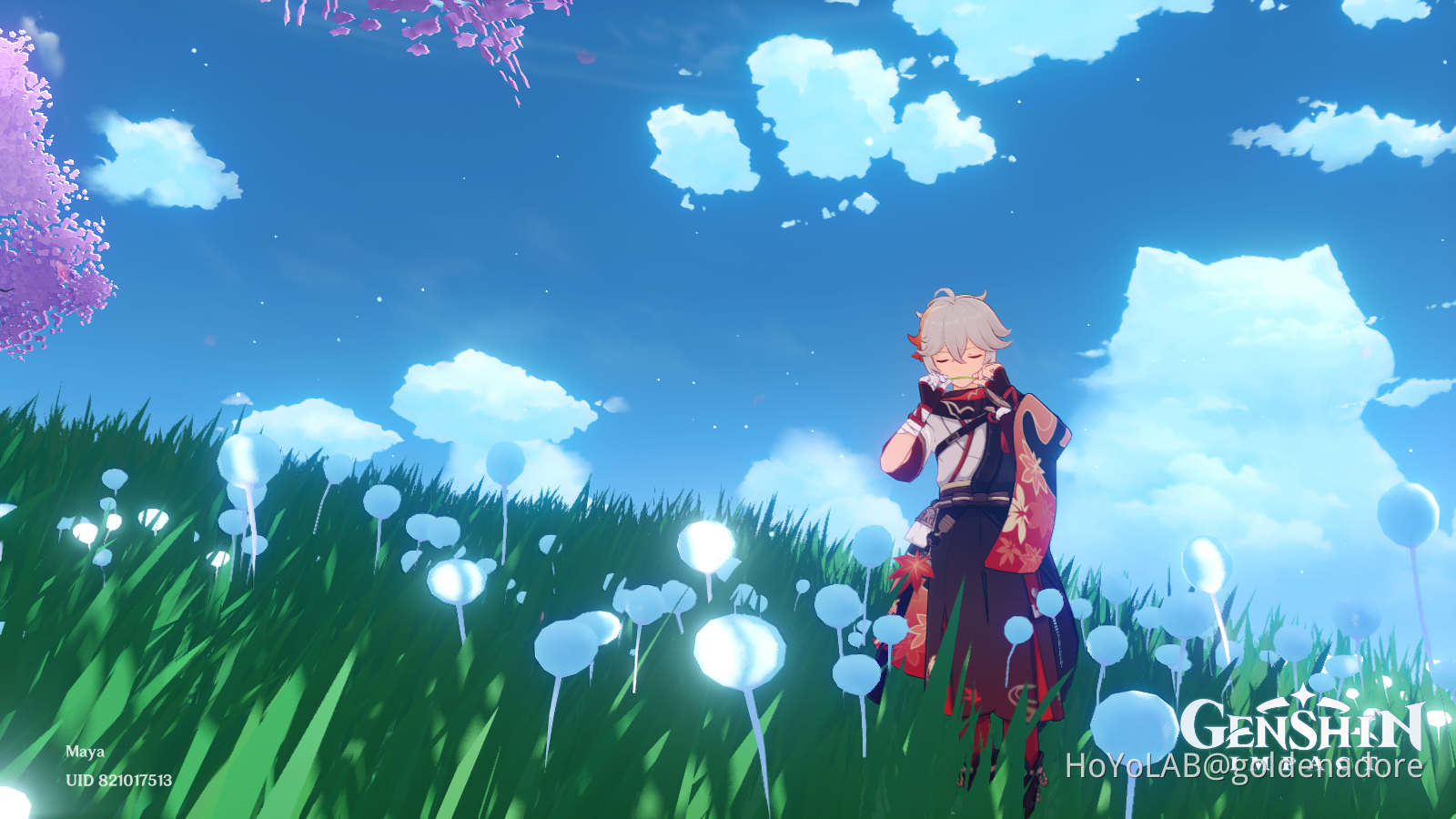 kitty cloud and the kat