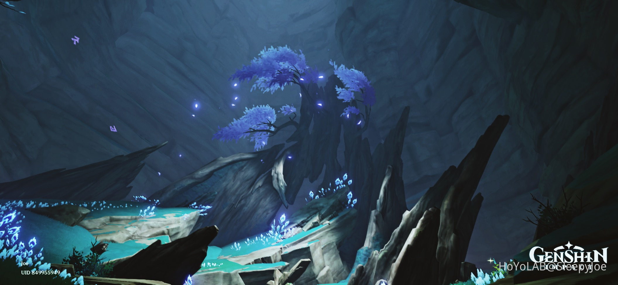 Perch Tree in Tsurumi Island. Genshin Impact | HoYoLAB