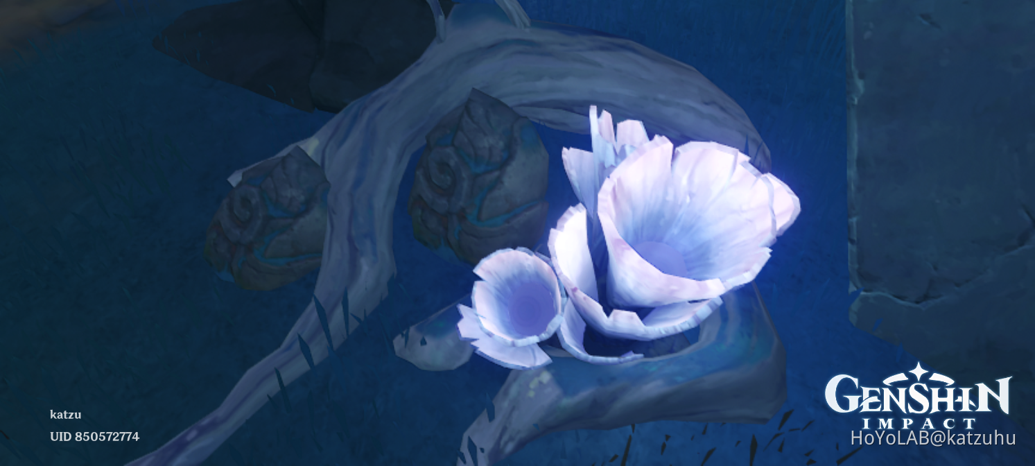 ekanomiya woo Genshin Impact | HoYoLAB
