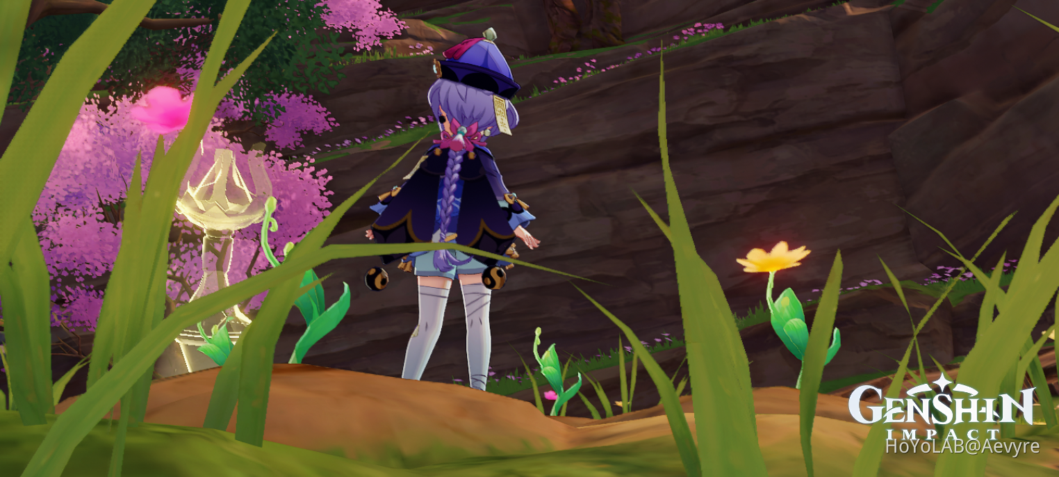 Violet grass garden Genshin Impact | HoYoLAB