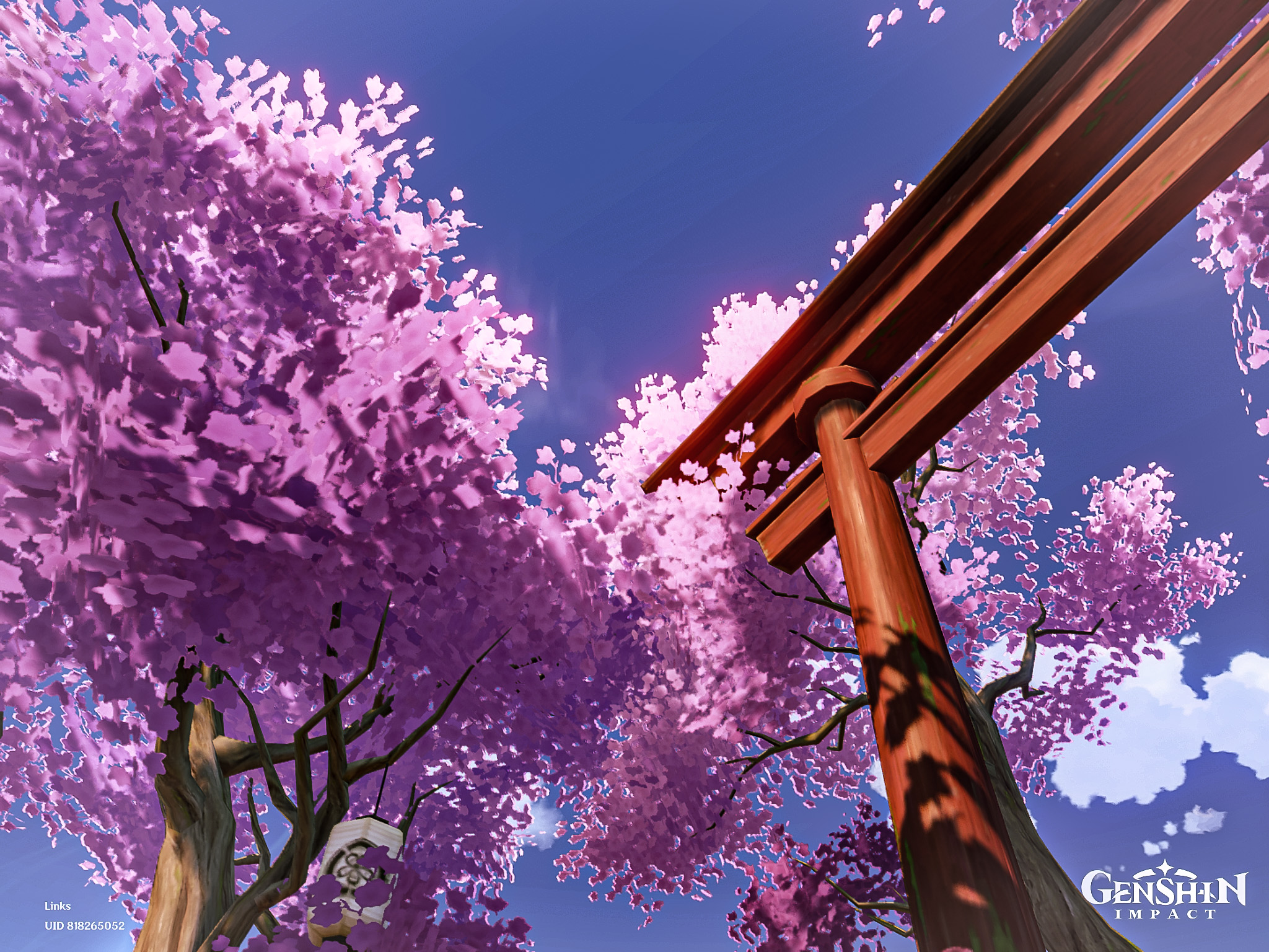 Day 3 “Torii Gate” Genshin Impact | HoYoLAB