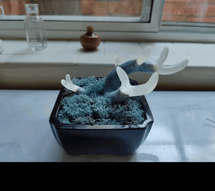 Early Sumeru [Tips] Horde this for Dendro Goblet 🌿 🏆 [Trivia] Someone ...