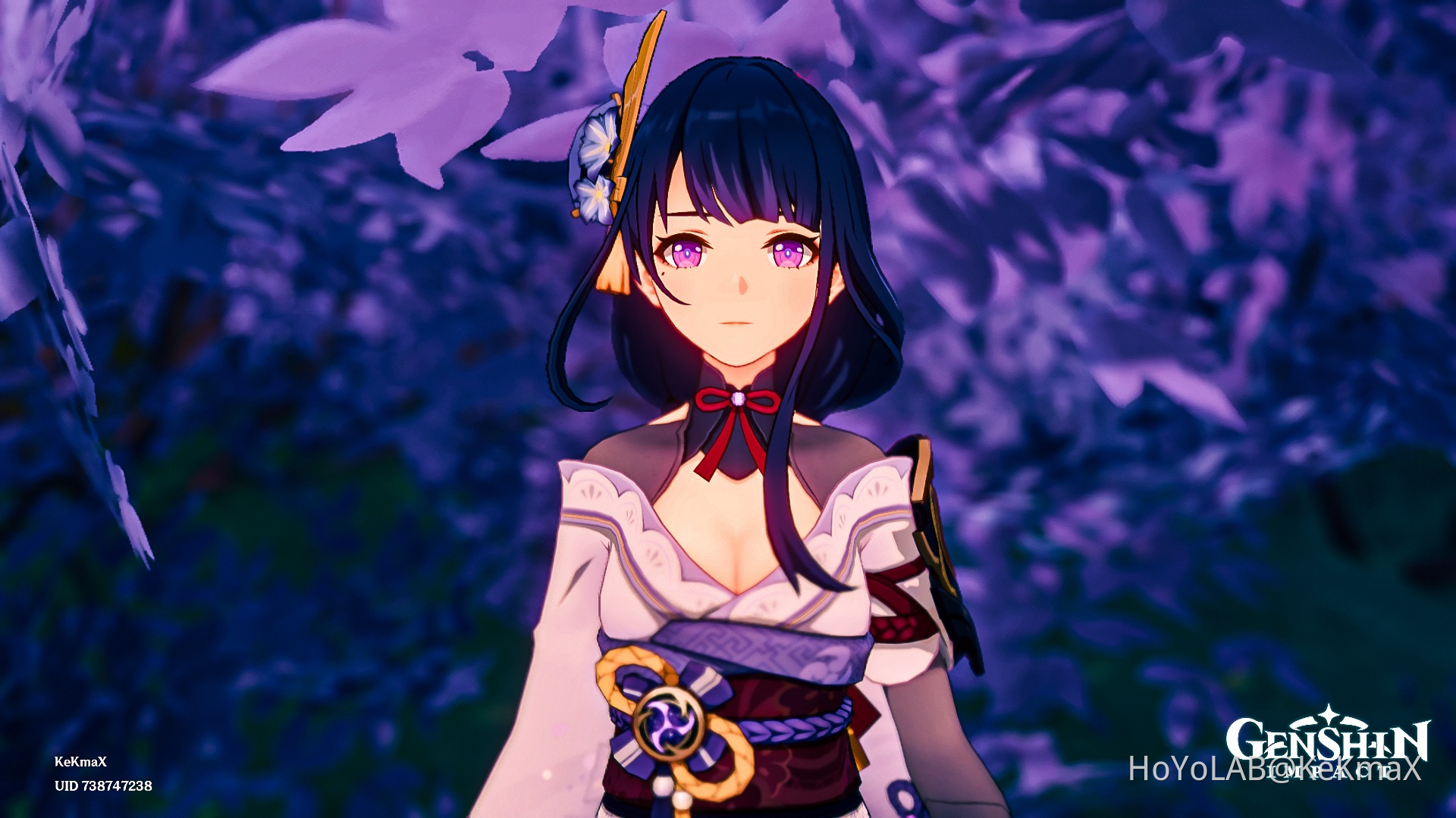 Raiden shogun Genshin Impact | HoYoLAB