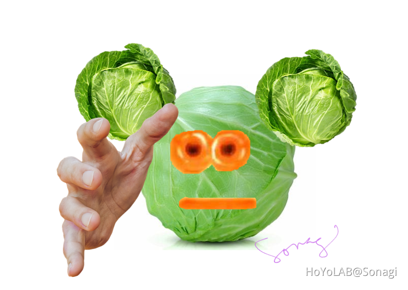 Cabbage check!!!!!!!!!!!!!!!! Honkai Impact 3rd | HoYoLAB