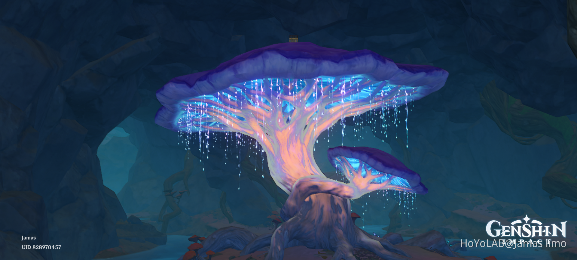 KEINDAHAN PRIMOGEM Genshin Impact | HoYoLAB