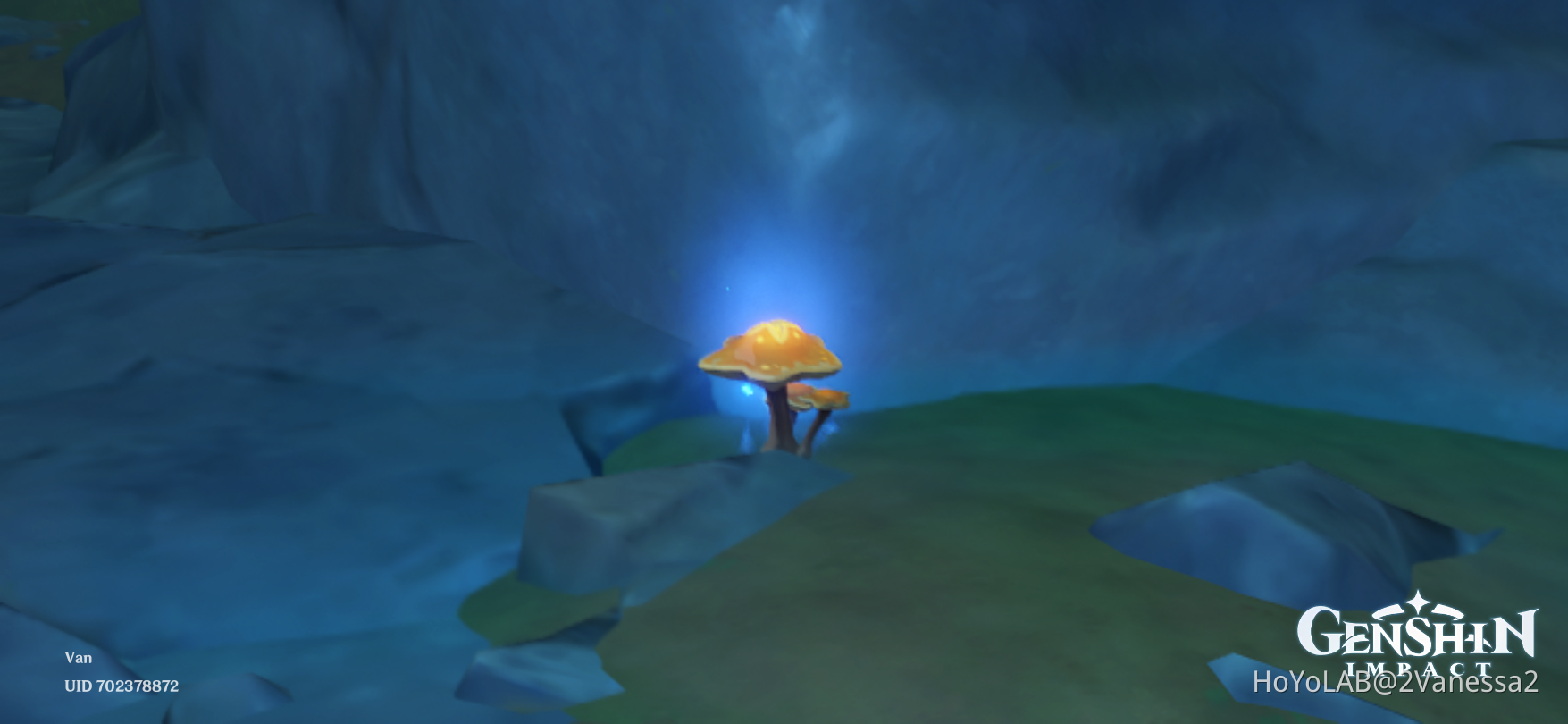 Pilz Genshin Impact | HoYoLAB