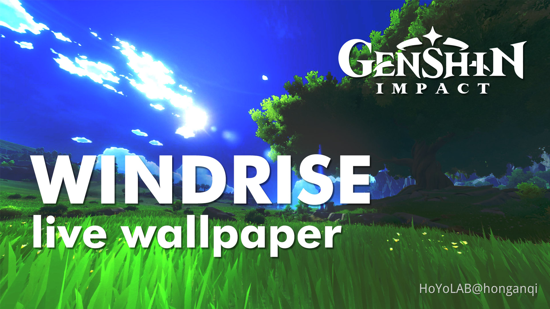 WINDRISE | Live Wallpaper Genshin Impact | HoYoLAB