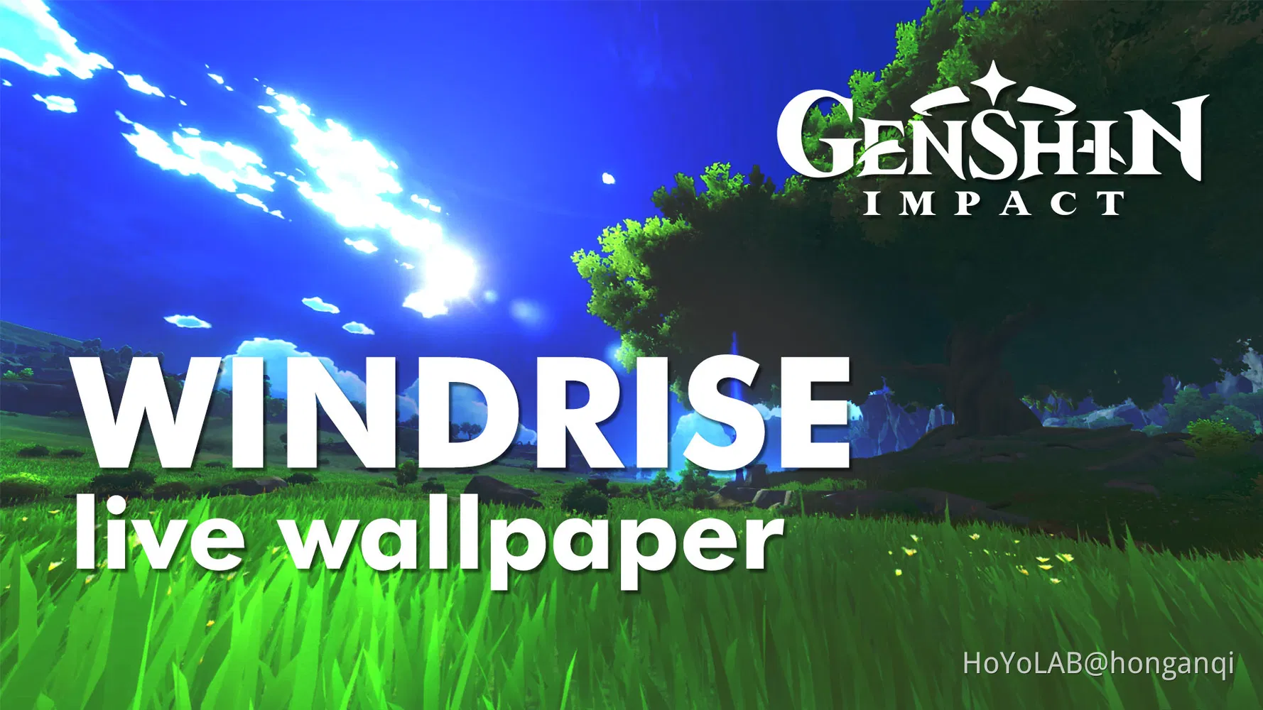 WINDRISE | Live Wallpaper Genshin Impact | HoYoLAB