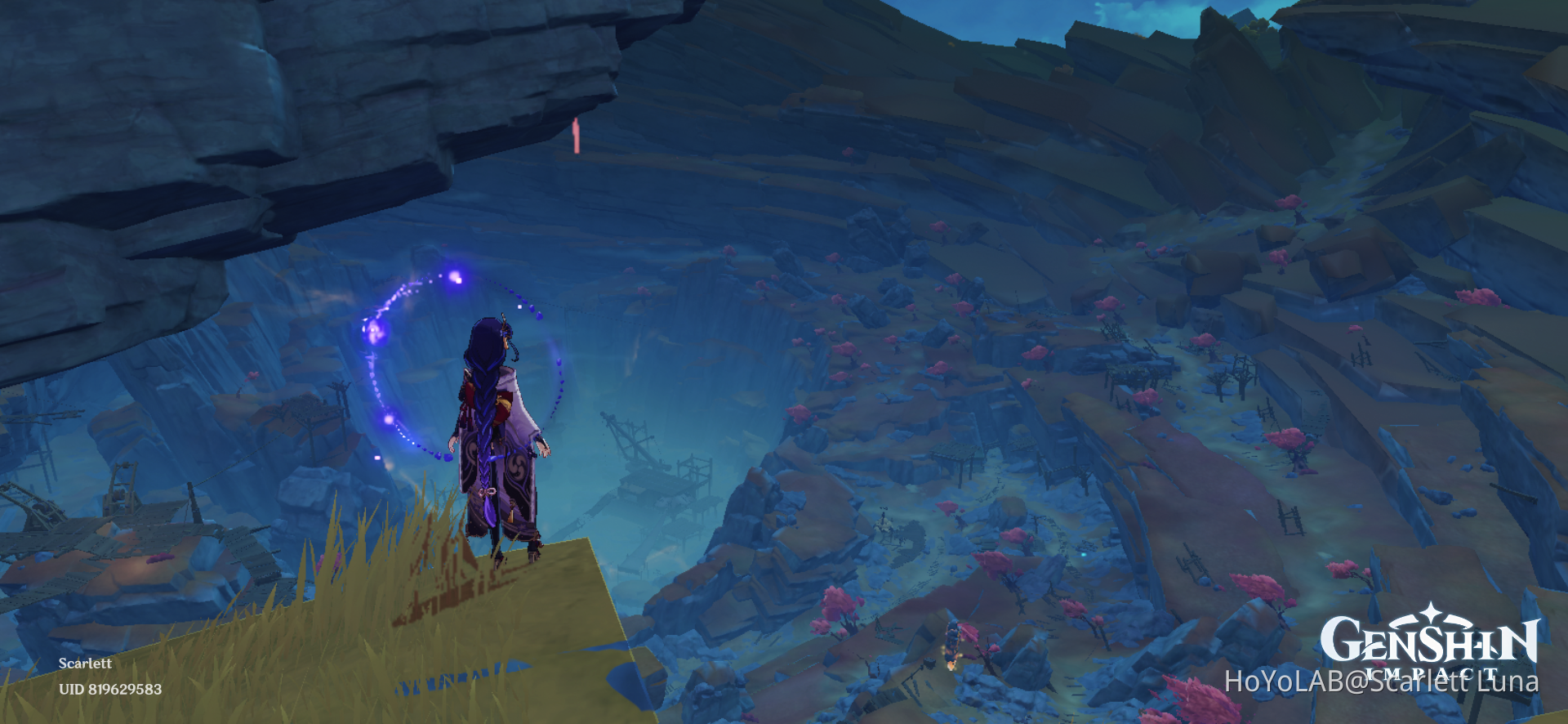 First Glance at The Chasm Genshin Impact | HoYoLAB