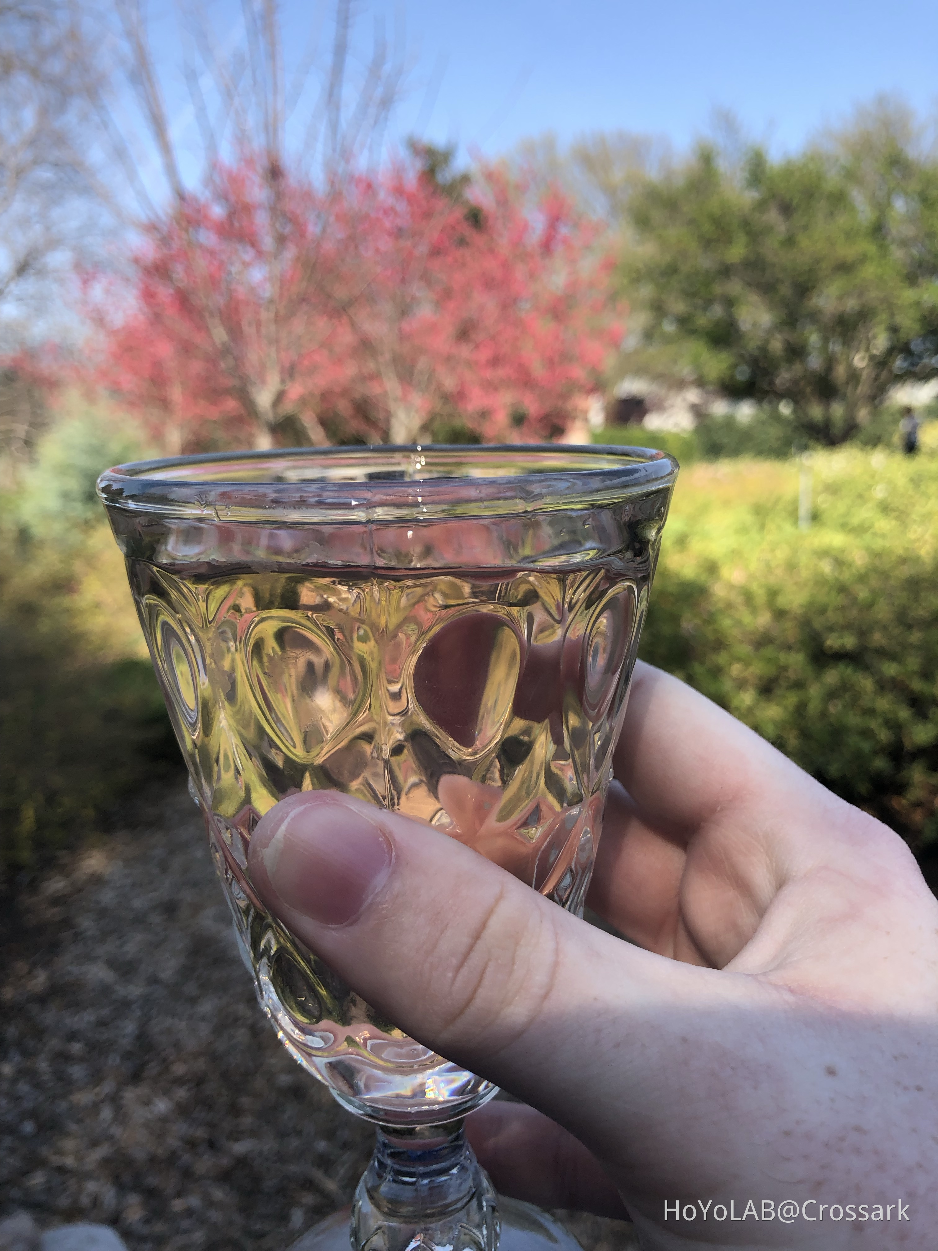 More Hanami cocktail pics Genshin Impact | HoYoLAB