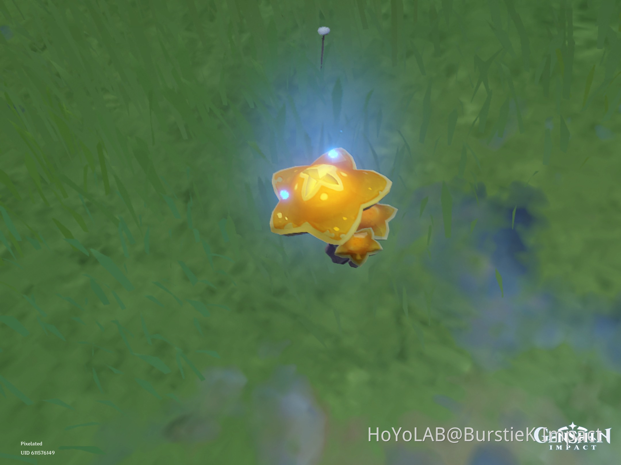 Starshroom 🍄 Genshin Impact | HoYoLAB