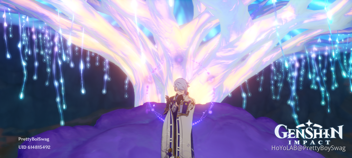 This tree is nice Genshin Impact | HoYoLAB