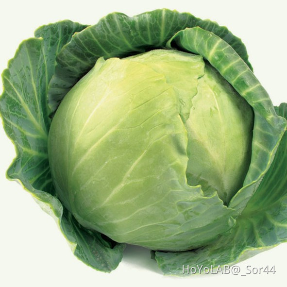 ai chan Honkai Impact 3rd | HoYoLAB