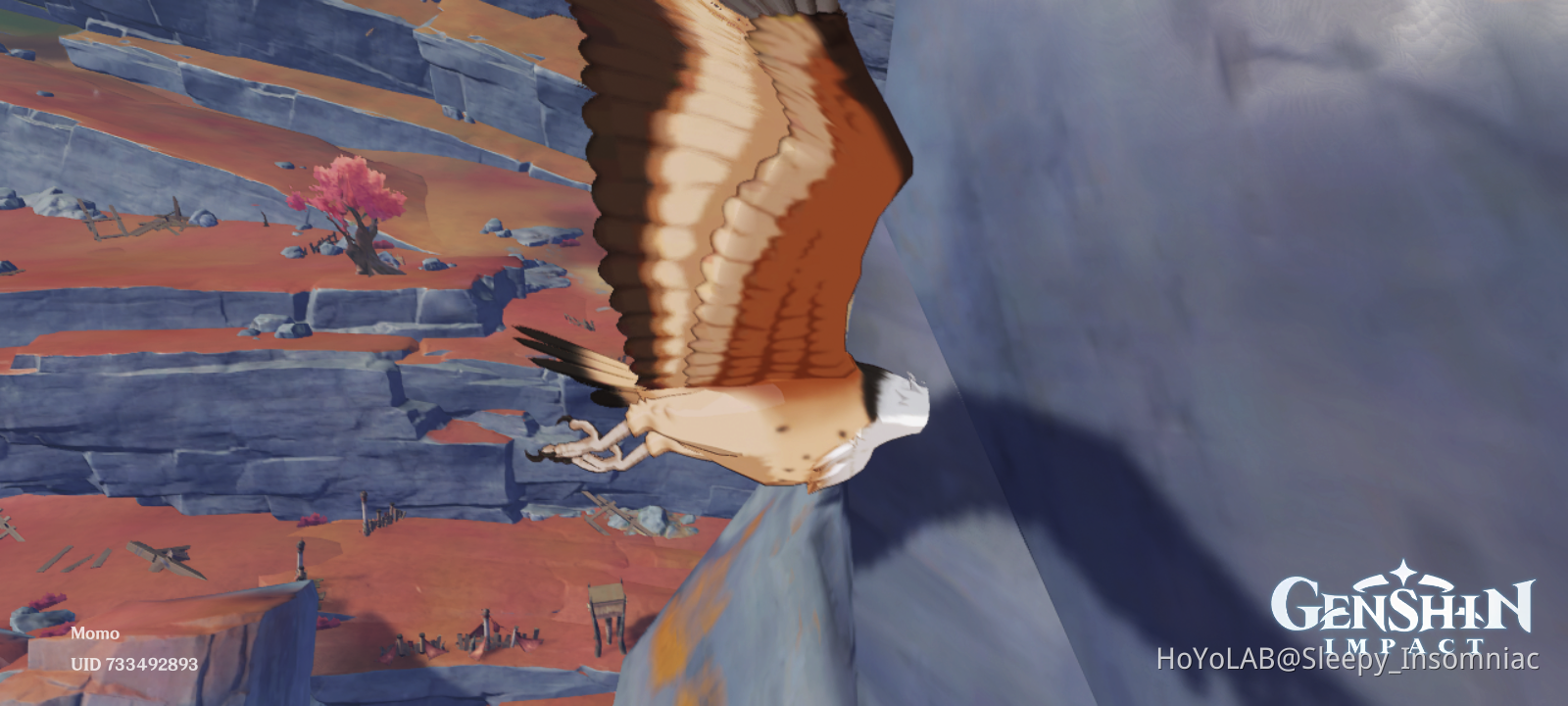 This bird is not ok Genshin Impact | HoYoLAB