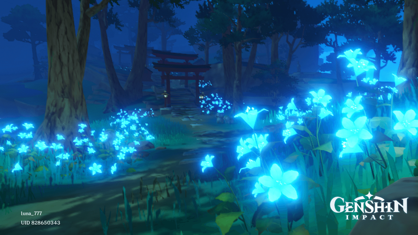 Chinju forest Genshin Impact | HoYoLAB