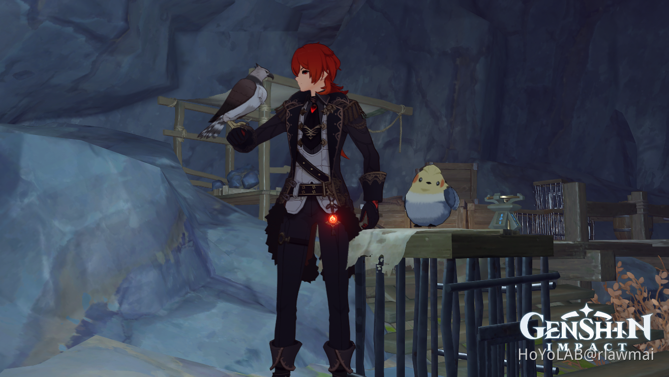 bird Genshin Impact | HoYoLAB