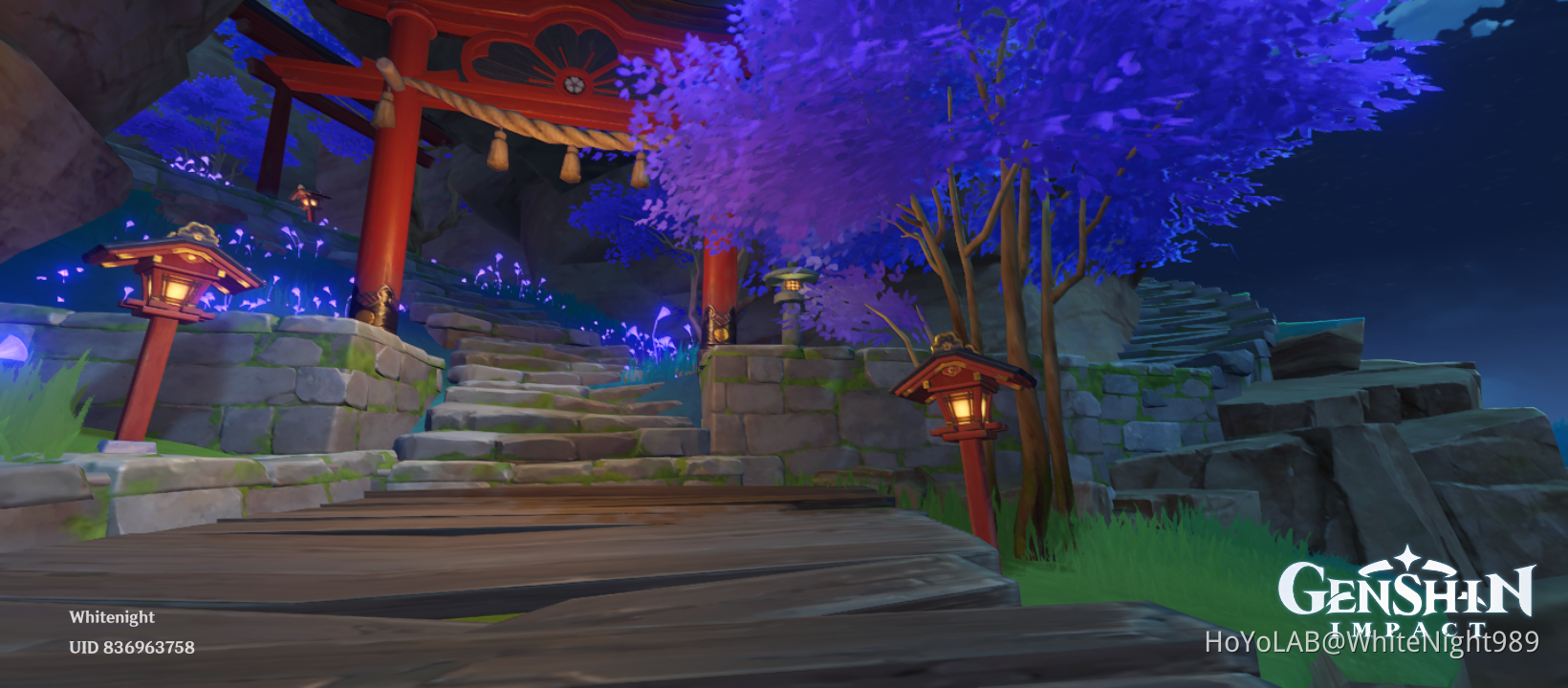 🌌💜 Phototaking in Inazuma P1🟣👾 (๑´•.̫ • `๑) | HoYoLAB