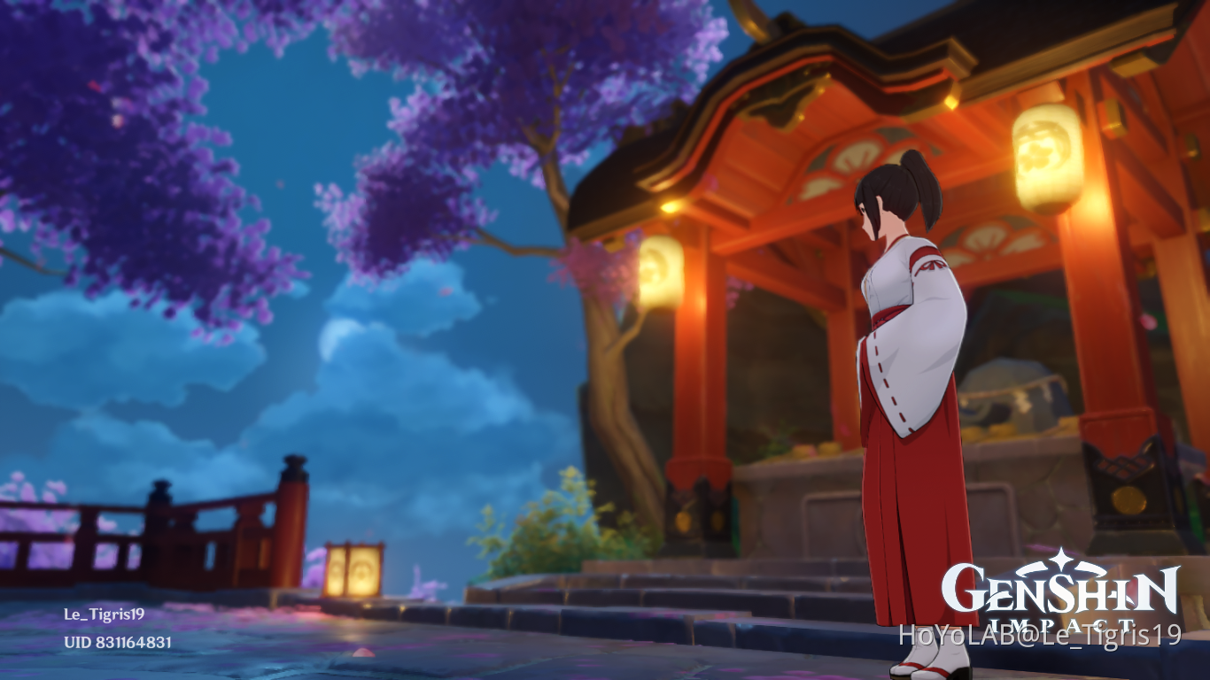 Inagi Hotomi | Genshin Impact | HoYoLAB