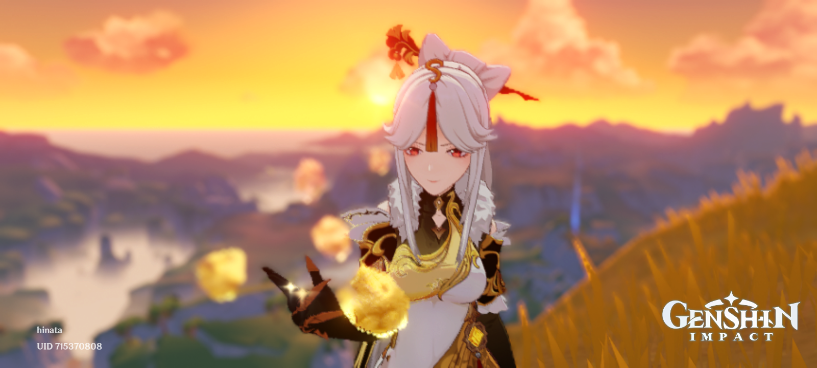 photographer of teyvat! Genshin Impact | HoYoLAB