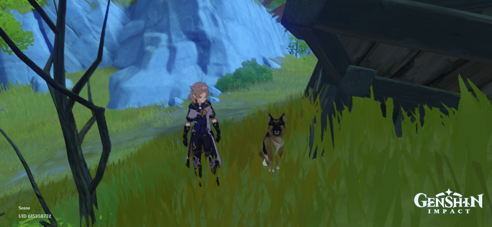 A Pet Catalogue Genshin Impact | HoYoLAB