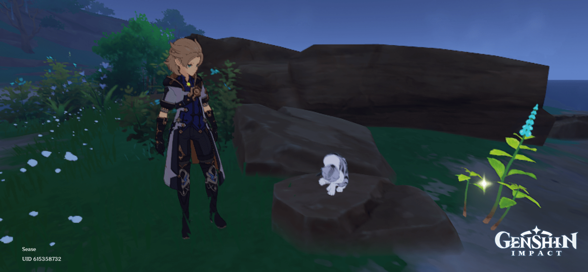 A Pet Catalogue Genshin Impact | HoYoLAB