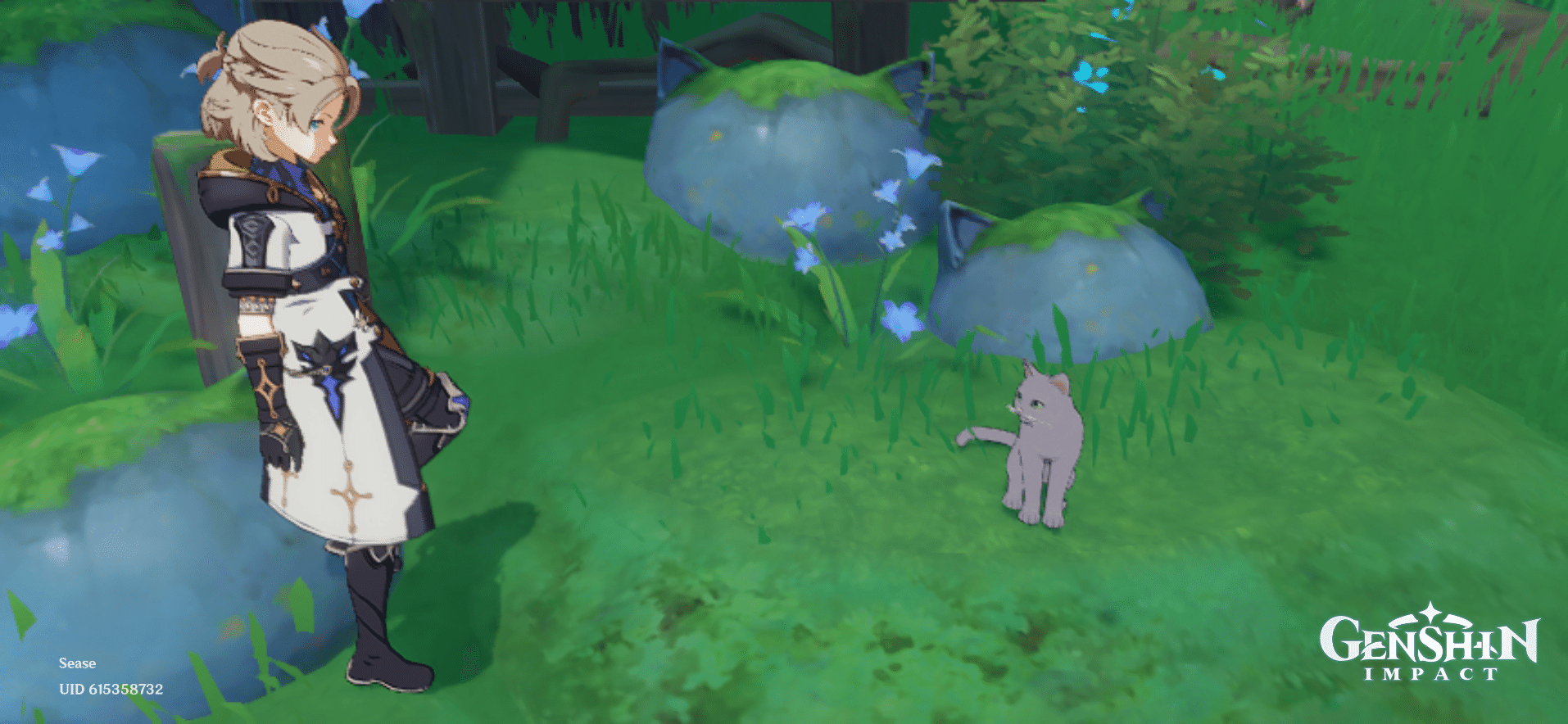 A Pet Catalogue Genshin Impact | HoYoLAB