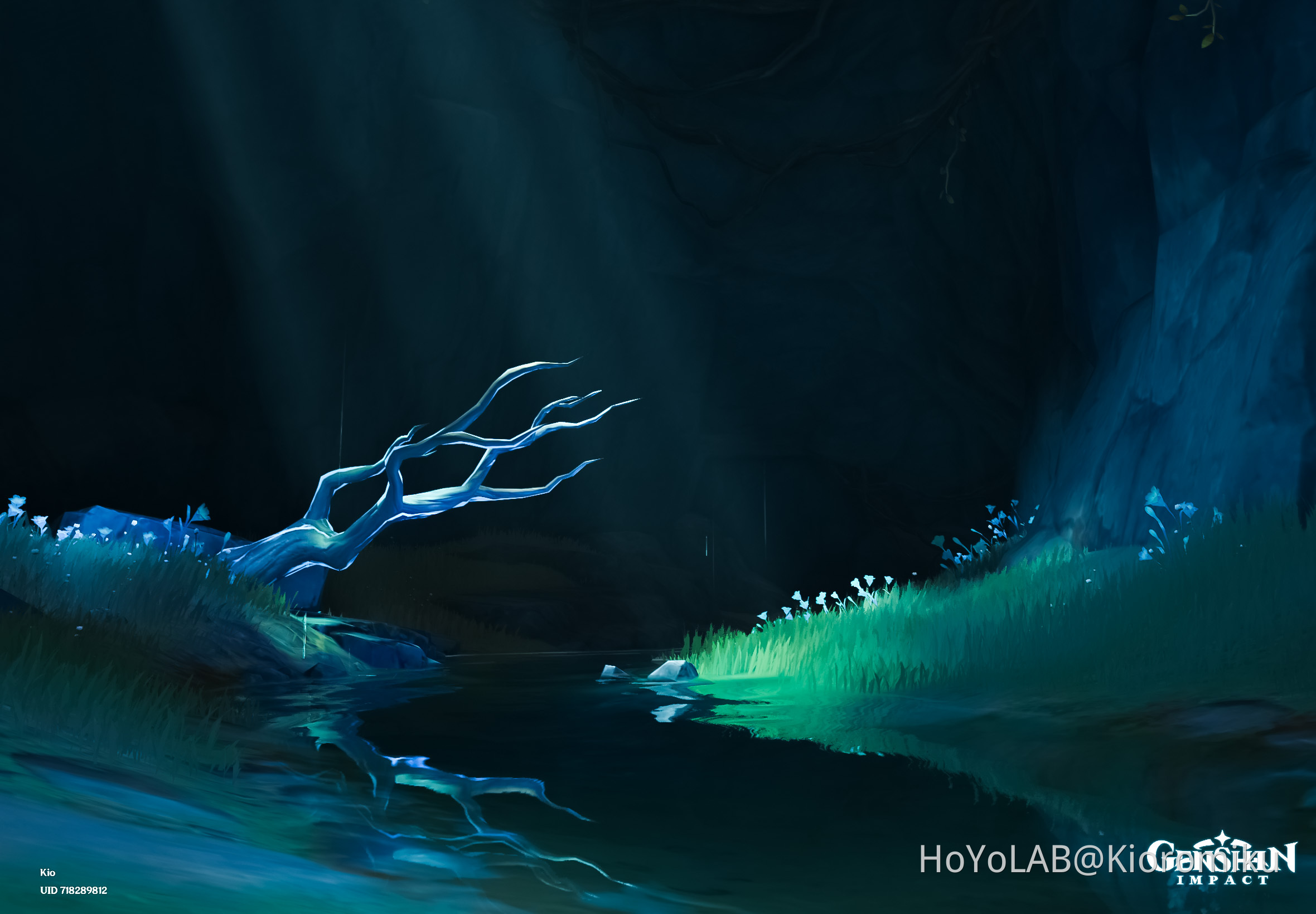 Chasm Tree Genshin Impact | HoYoLAB