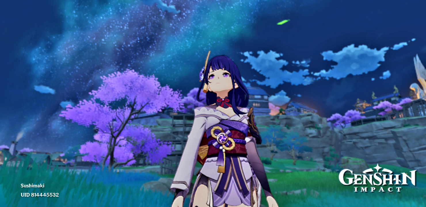 Raiden Ei in Byakko Plain Genshin Impact | HoYoLAB